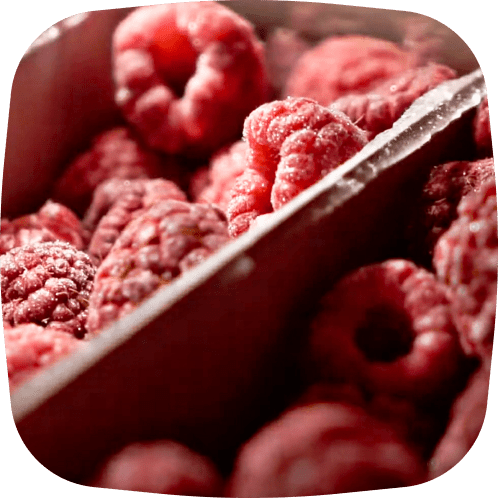 Fruggies — Votre dose quotidienne de fruits & légumes